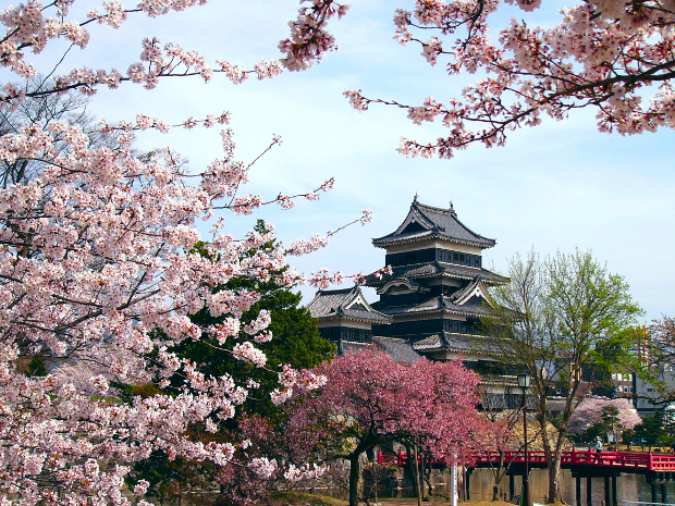 matsumoto_castle_v2 - Japino.net
