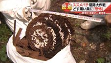 ISHIKAWA : INVASION OF WASPS - Japino.net