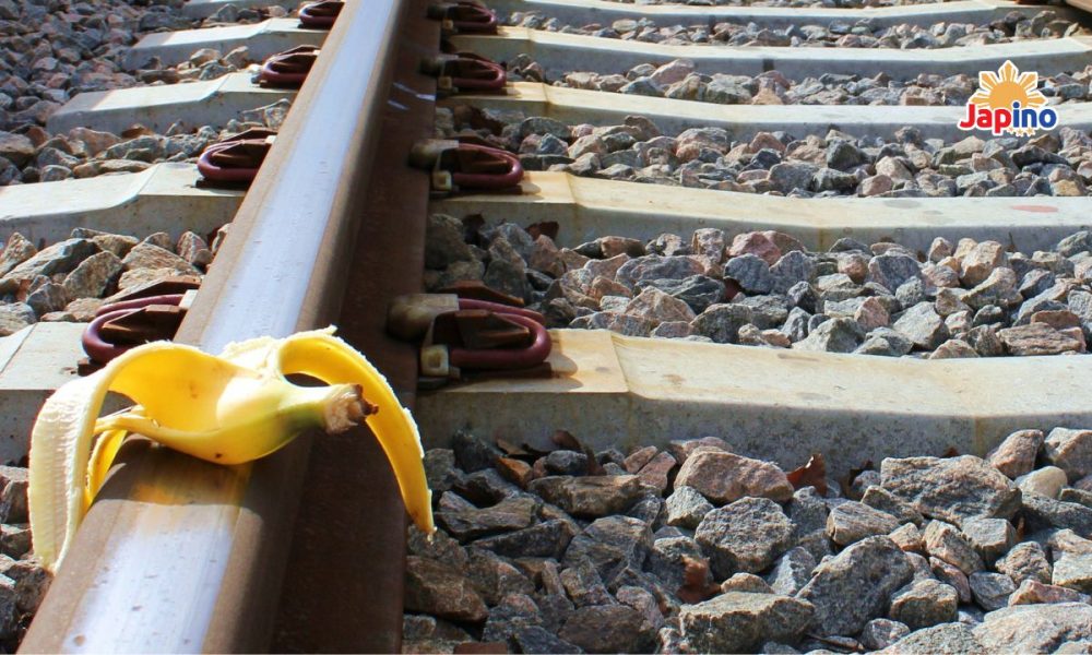 MINDANAO RAILWAY, CHINA EXCLUDED AS PARTNER - Japino.net MINDANAO RAILWAY, CHINA EXCLUDED AS PARTNER - Japino.net